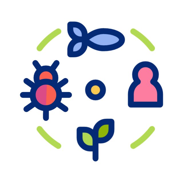 Digital Library, Education and Course by Knowe